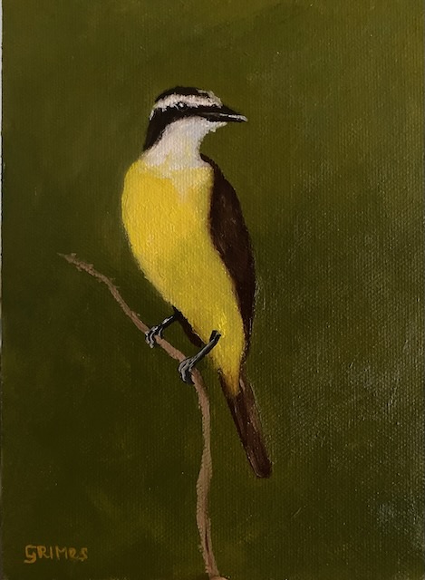 Wild Life | Bermuda Arts Centre at Dockyard